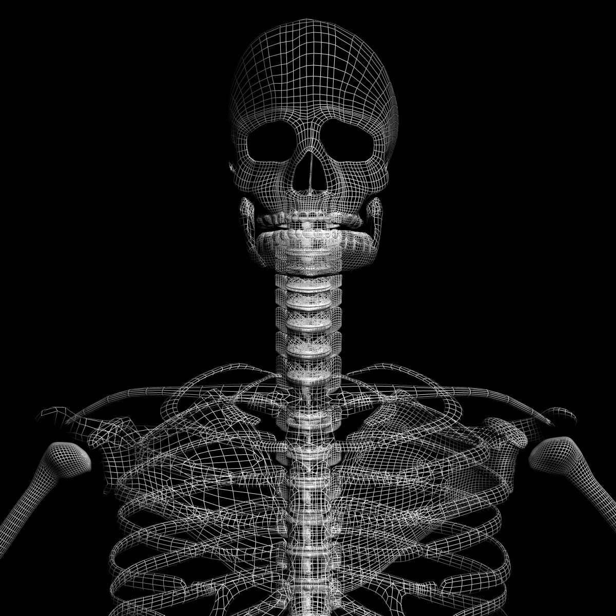 x-ray skeleton xray body human obj