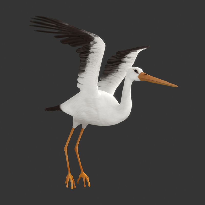 3d stork flying animation model