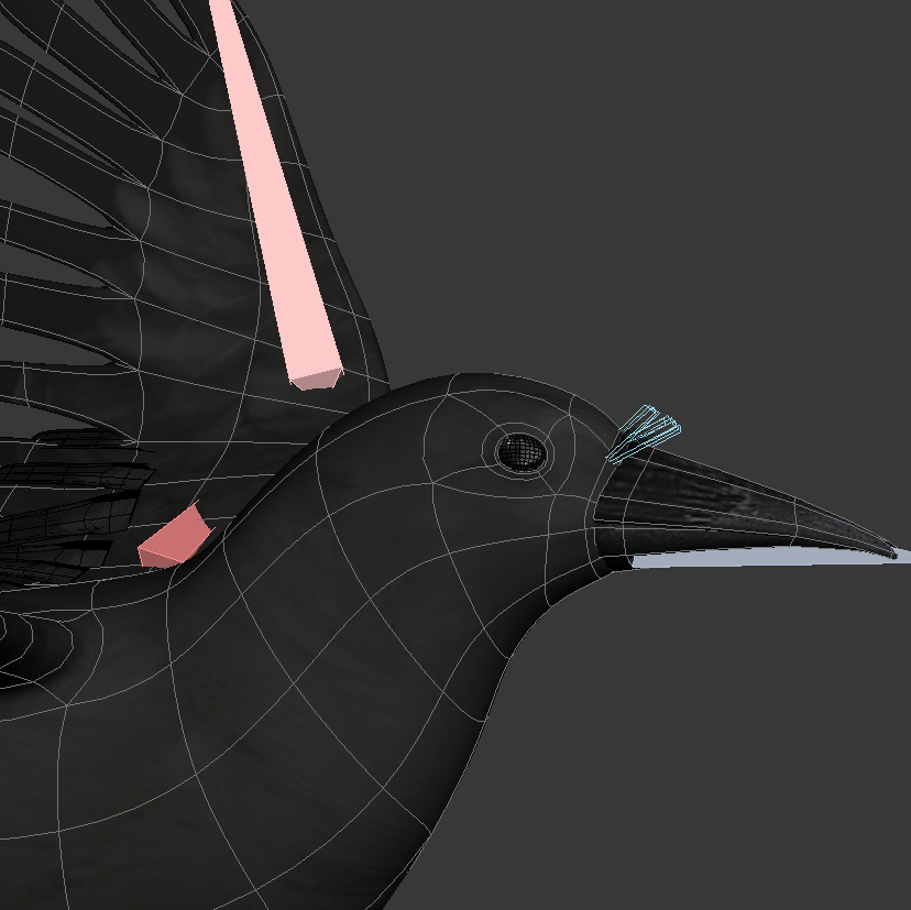3d model crow flying animation