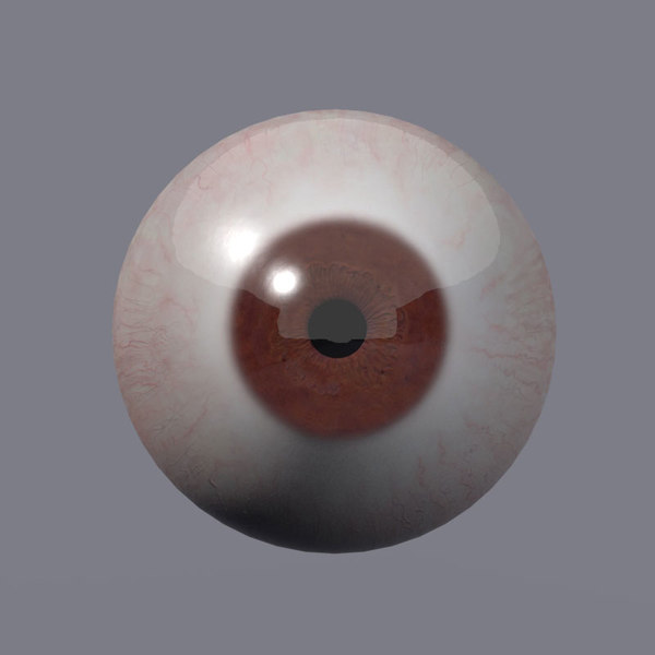 3d eyes pupil model