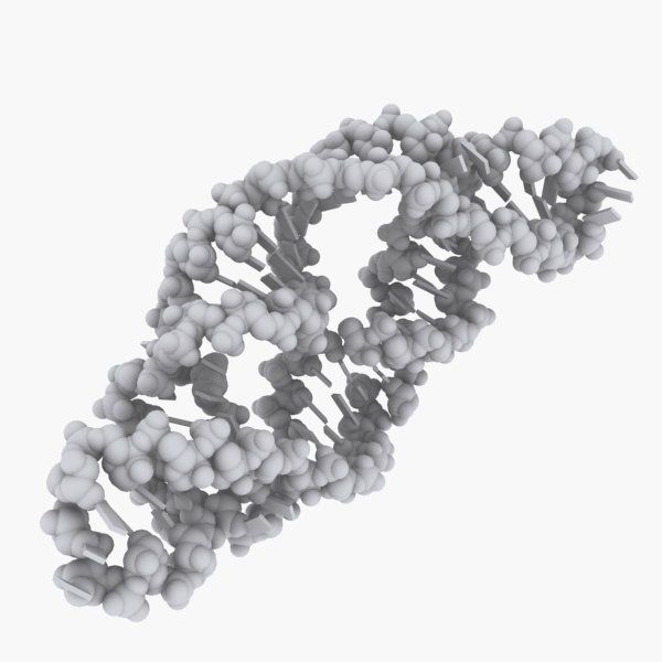 hammerhead ribozyme 3d max