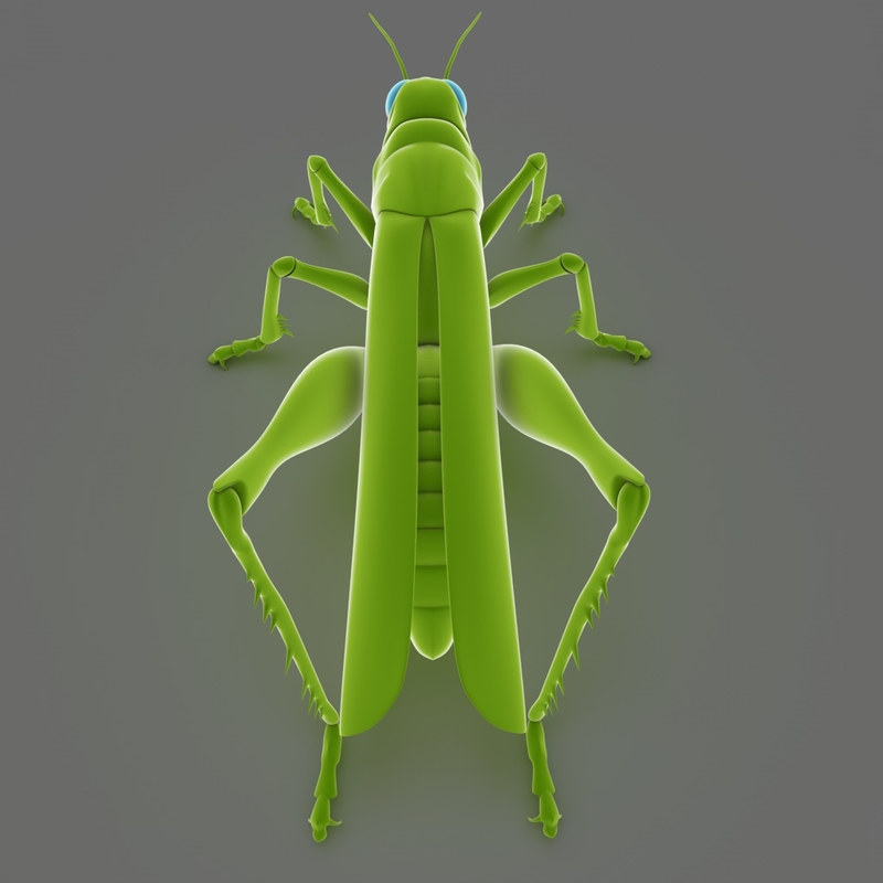 3d grasshopper