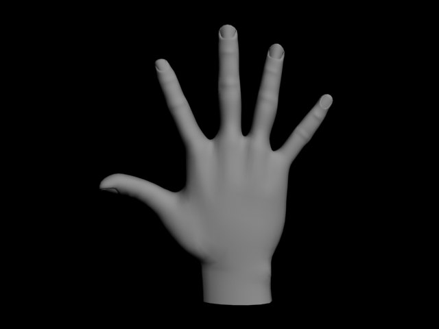 3d human hand