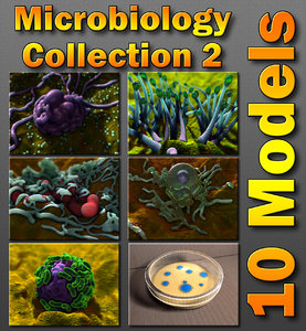 Free 3D Bacteria Models | TurboSquid