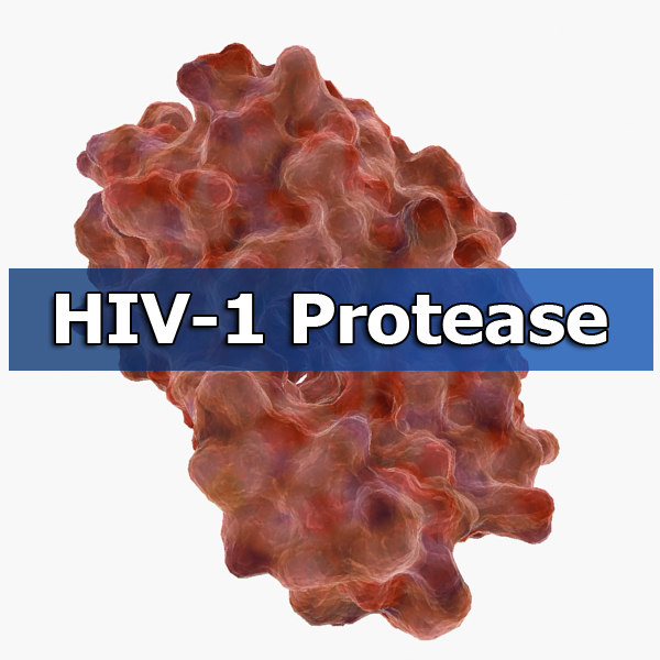 hiv-1 protease 3d model