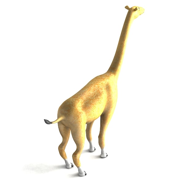 aepycamelus alticamelus x free