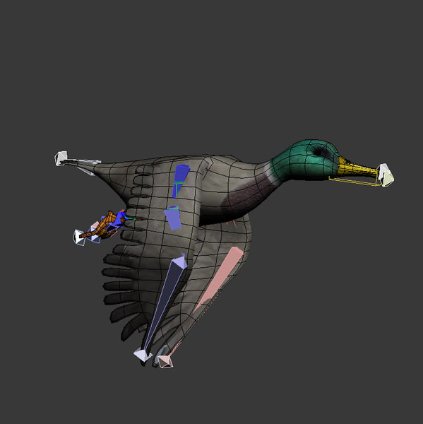 duck different flying animation 3d model