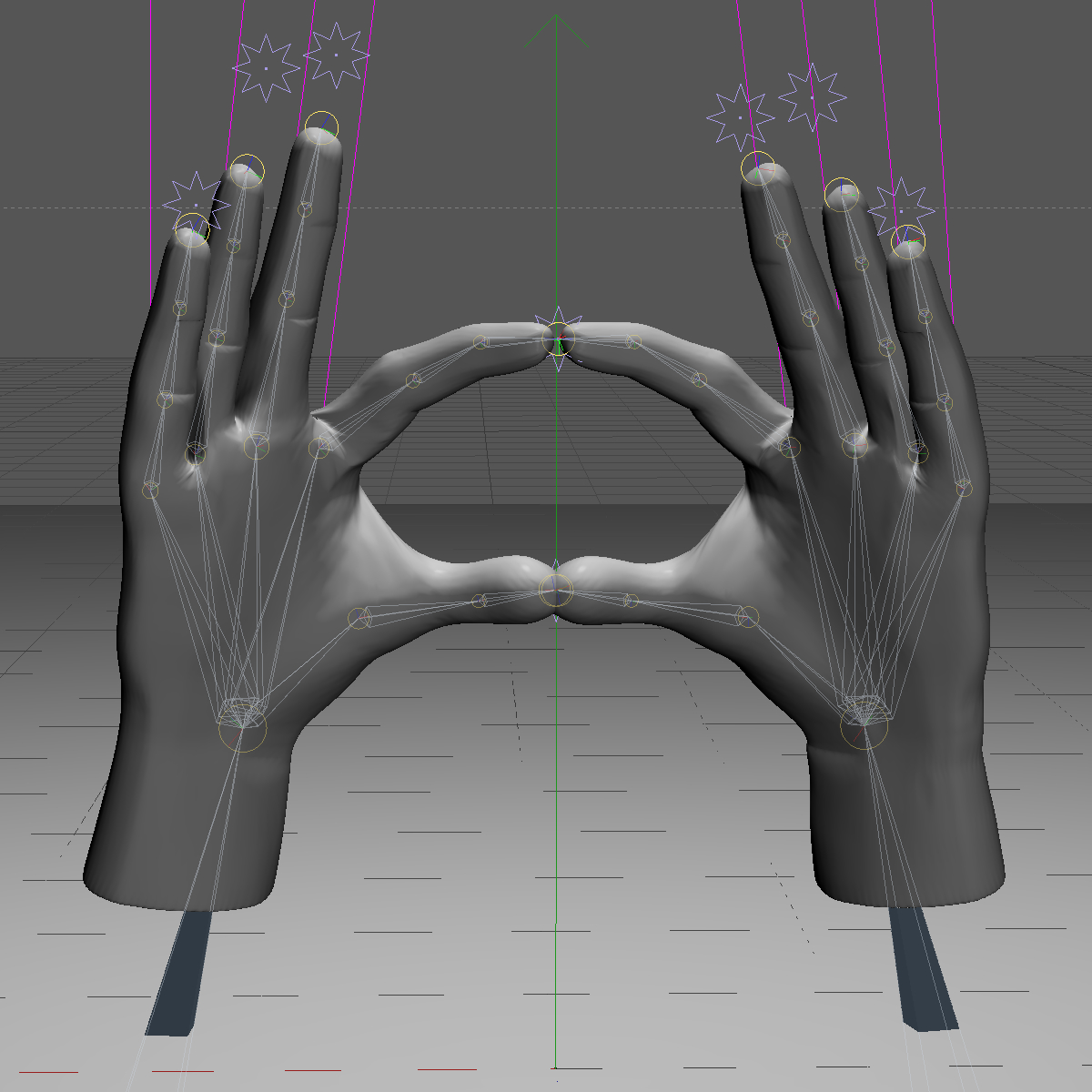 hands rigged c4d