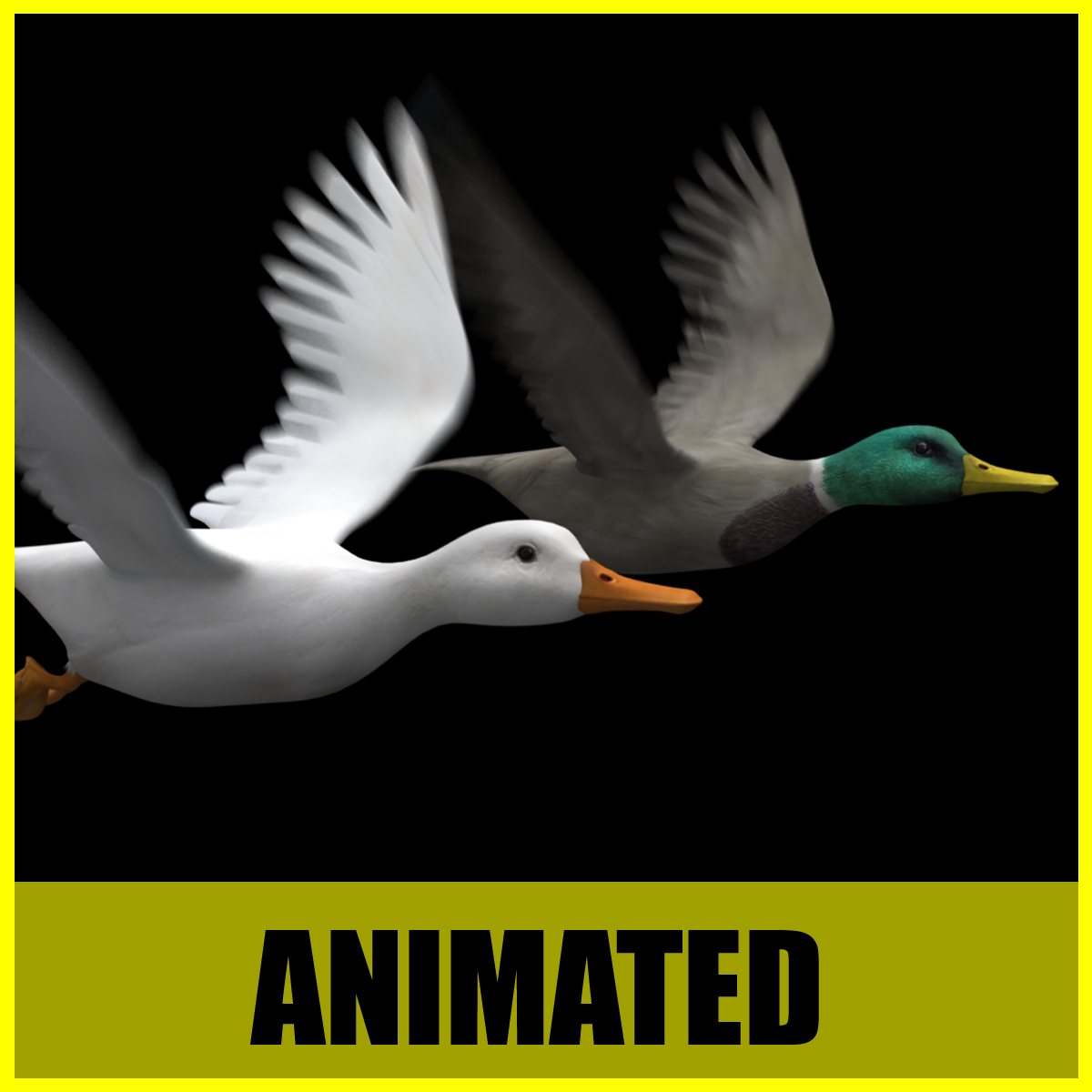 duck different flying animation 3d model