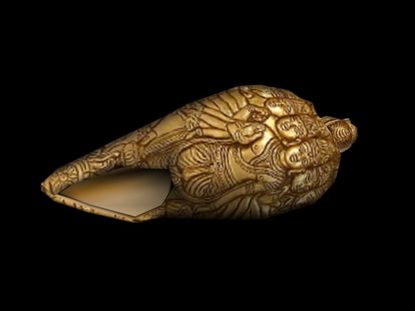 conch shell max