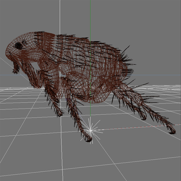 flea 3d model