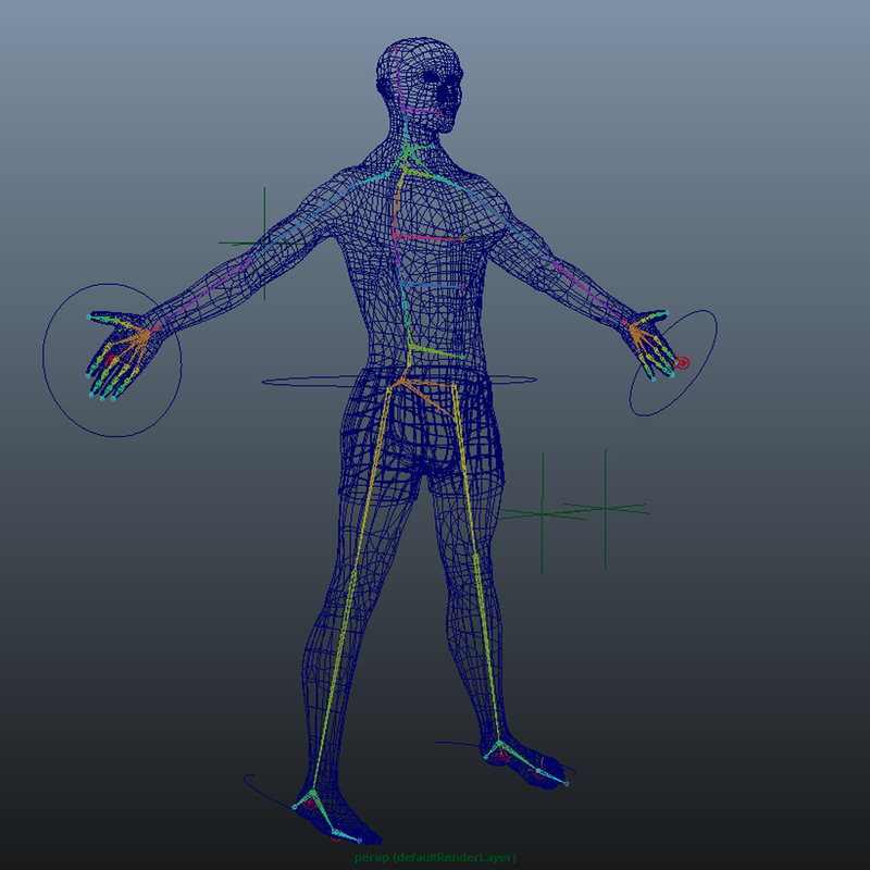 3d rigged man figure