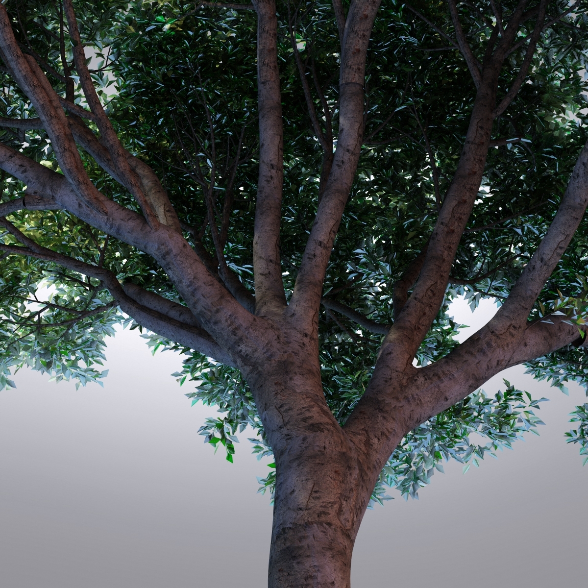 3d hi realistic series tree