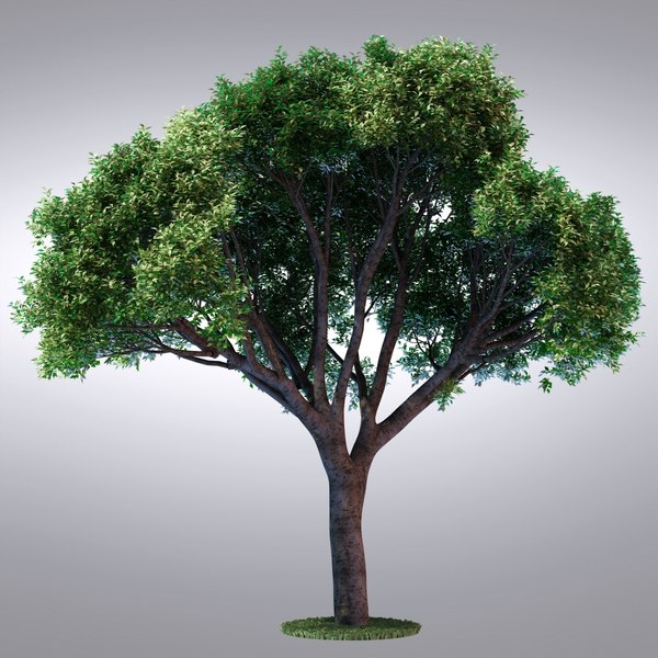 3d hi realistic series tree