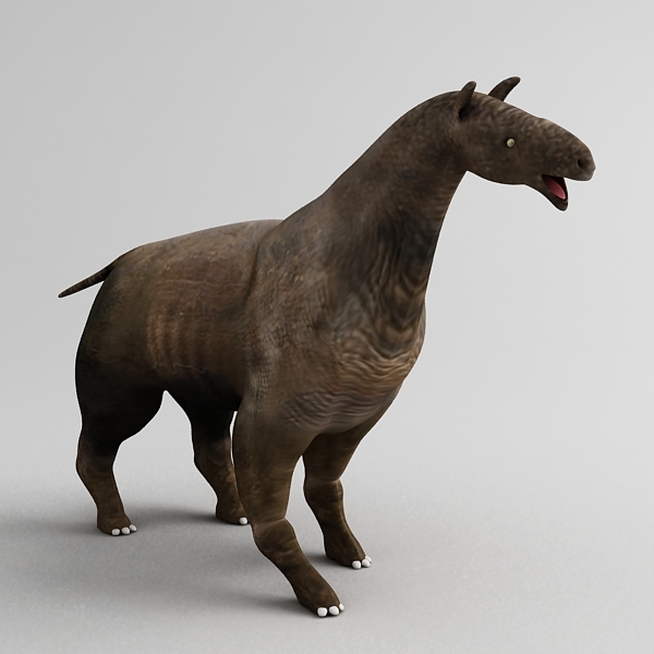 3d model of indricotherium