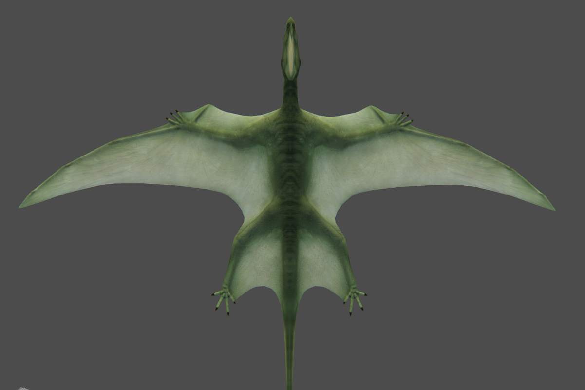 dinosaur pterosaur prehistoric 3d model