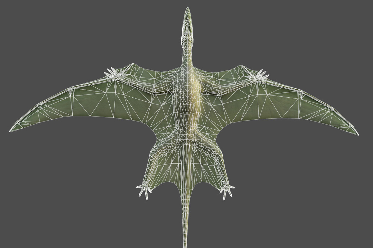 dinosaur pterosaur prehistoric 3d model