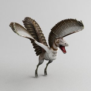 3D Archaeopteryx Models | TurboSquid