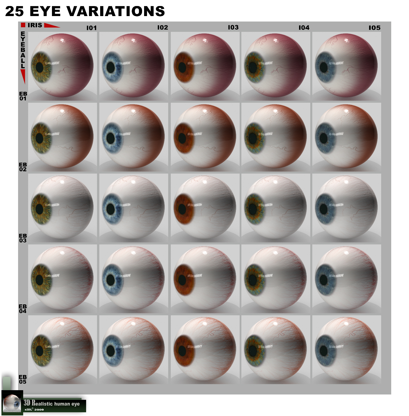 realistic human eye 3d model