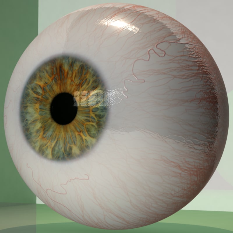 realistic human eye 3d model