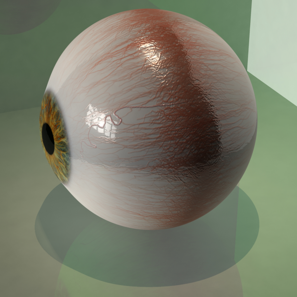 realistic human eye 3d model
