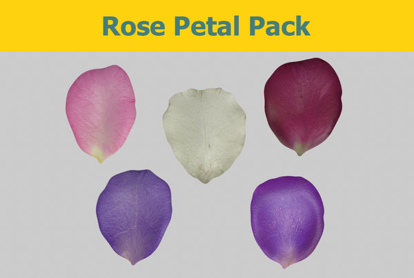 Free 3D Petal Models | TurboSquid