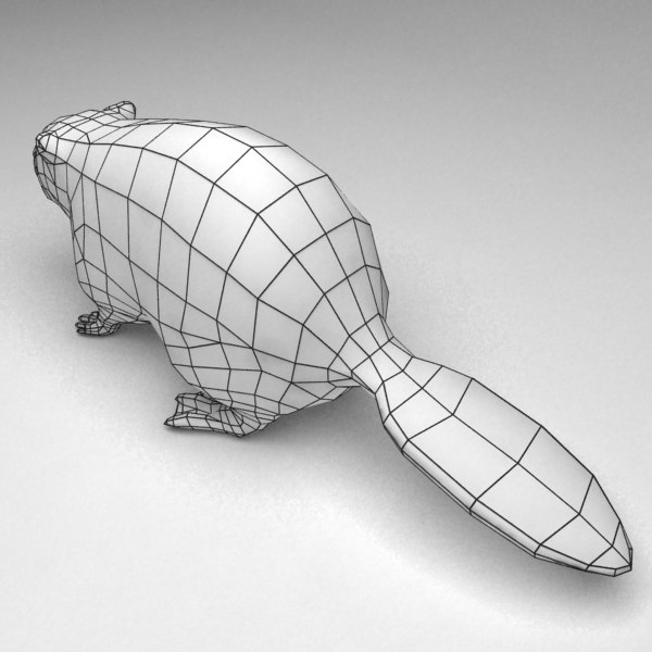 3d model rigged beaver