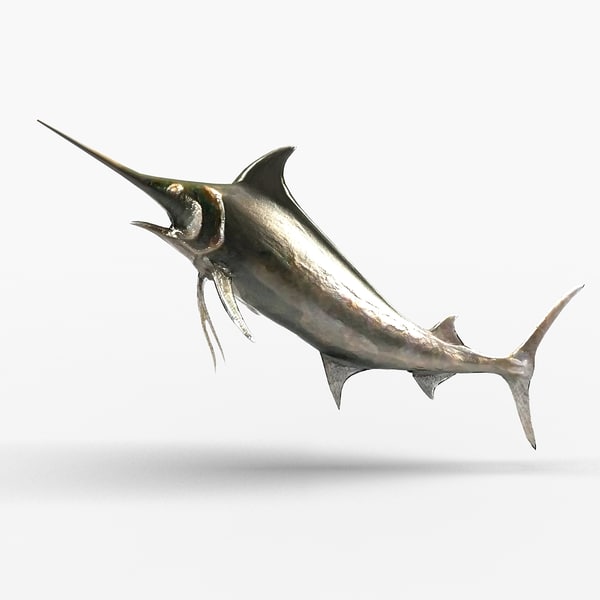 Marlin 3D Models for Download | TurboSquid