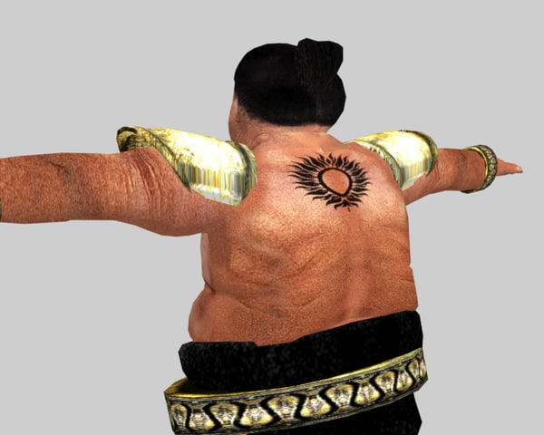 3ds sumo warrior ready