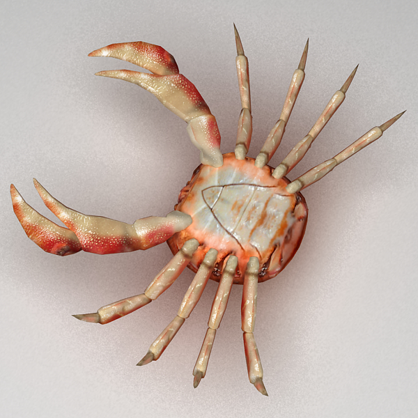 3ds max rigged crab