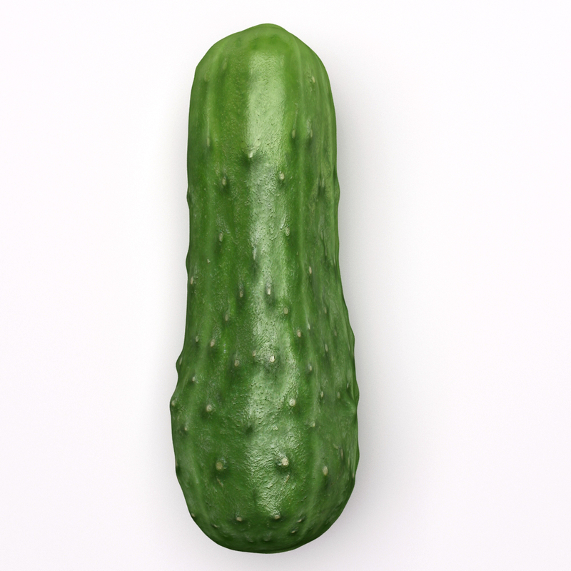 cucumber 3d model