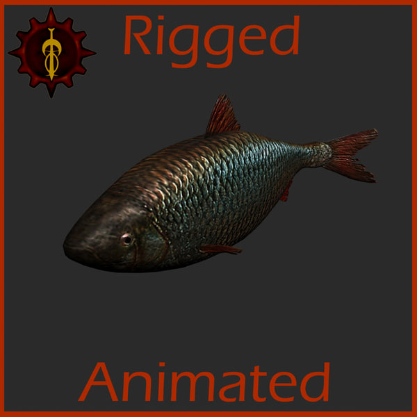 3d fish animation model