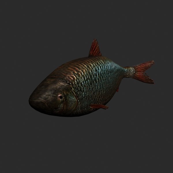 3d fish animation model