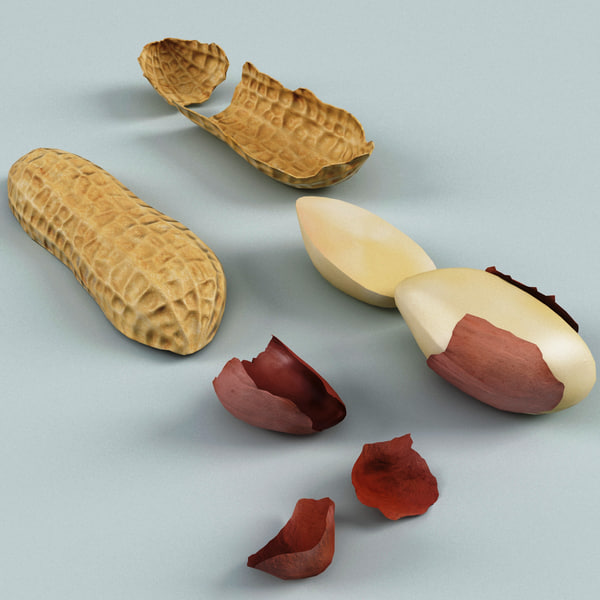 peanuts modelled open 3d max