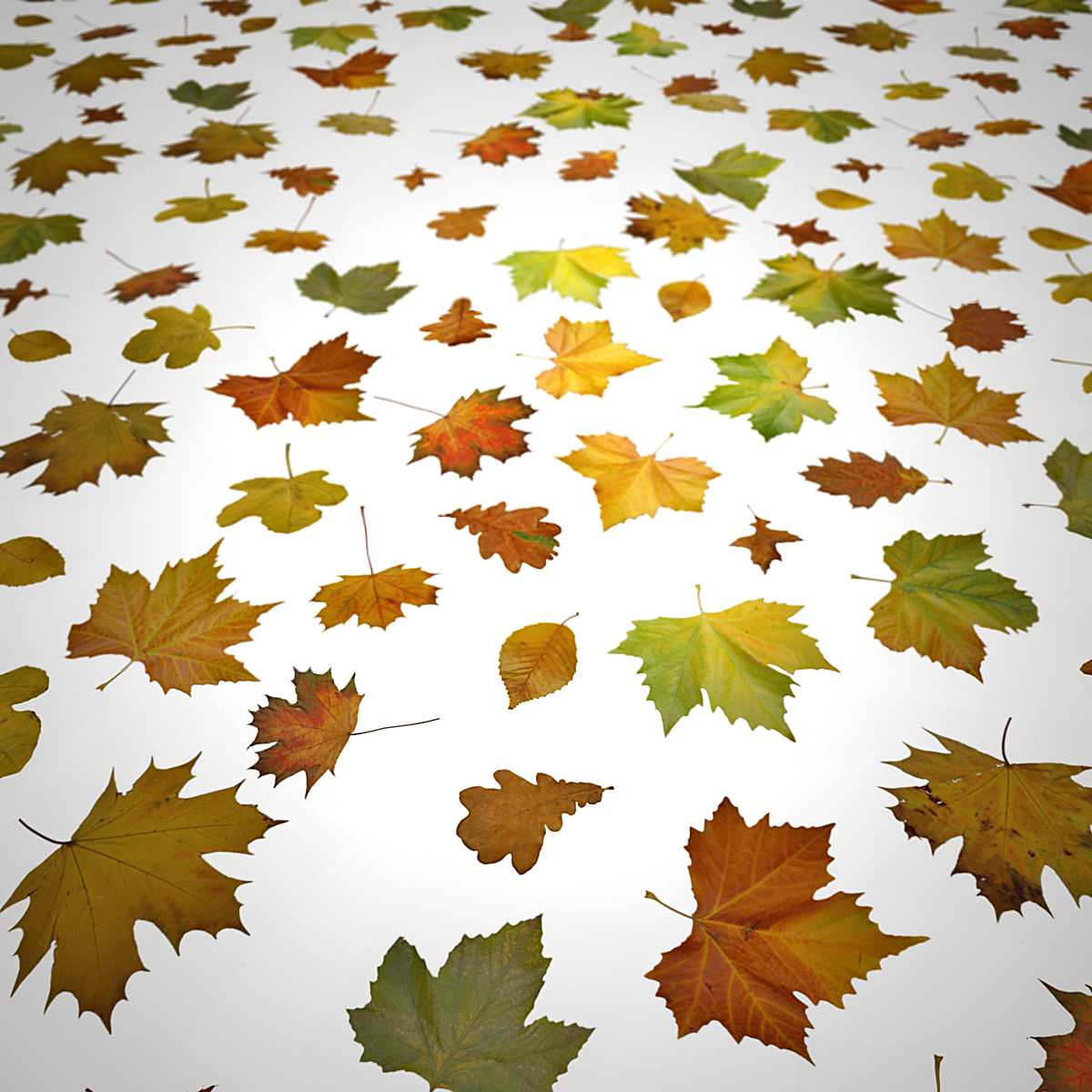 3d leaves autumn