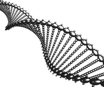 3d molecular dna animation model