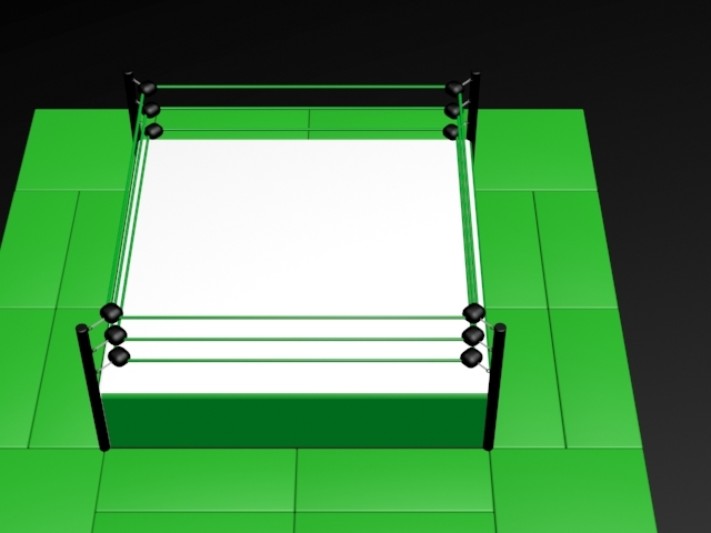 professional wrestling ring max