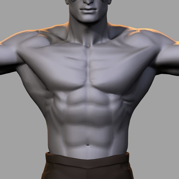 muscles setup 3d model