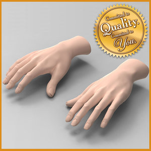 3d human male hand model