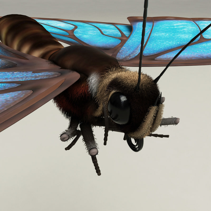 3d insects v2 model