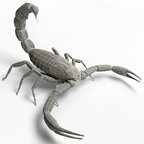 3d insects v2 model