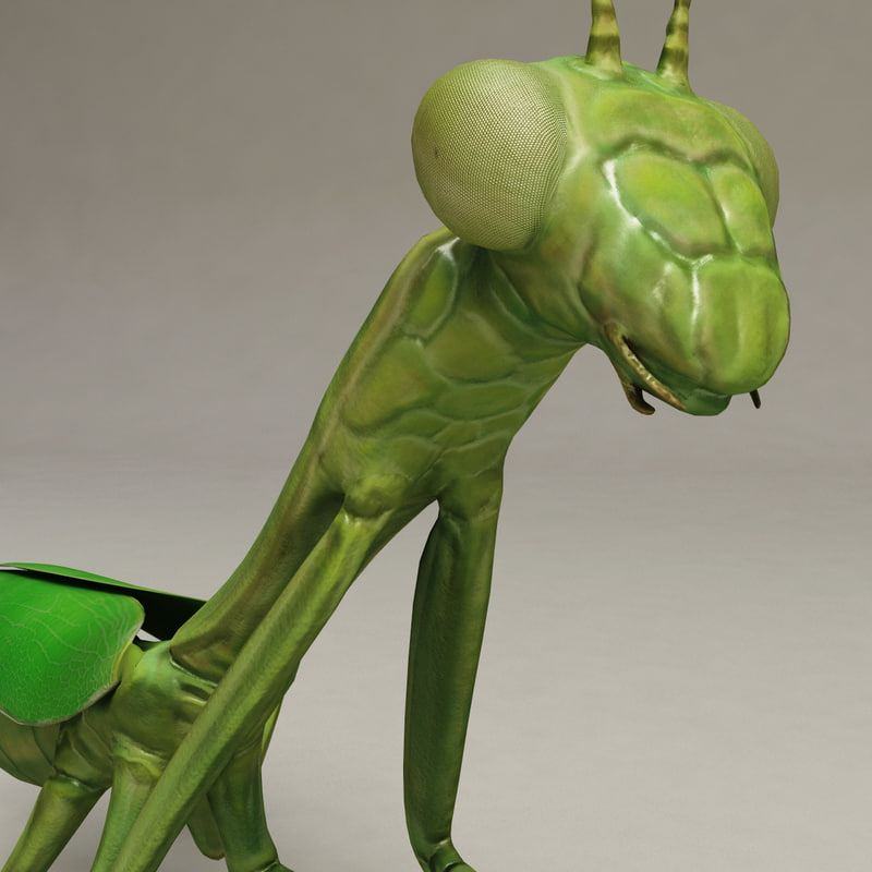 3d insects v2 model