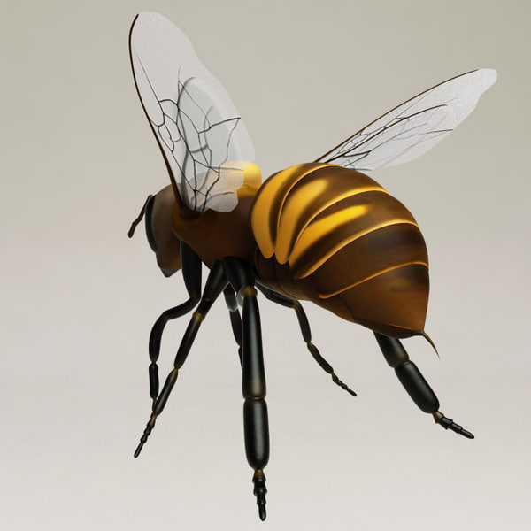 3d insects v2 model