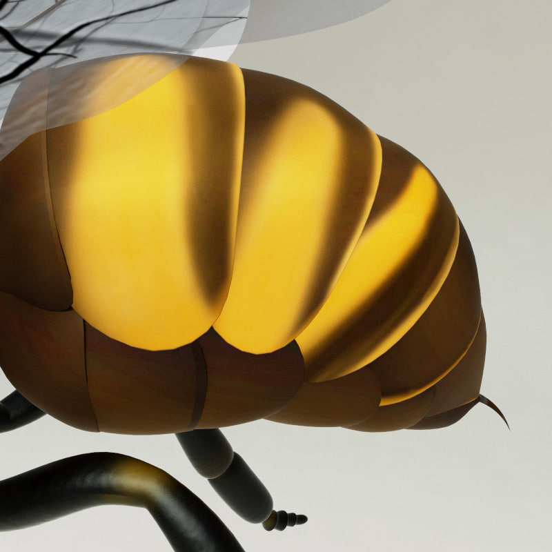 3d insects v2 model