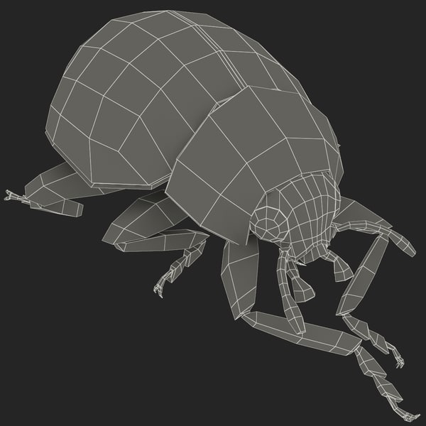insects v5 3d model