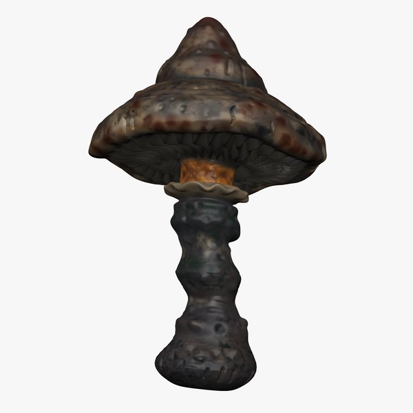 modelo 3d Seta de fantasía - TurboSquid 614801