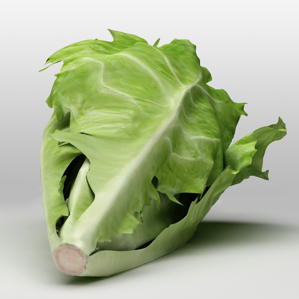 3d lettuce