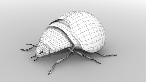 ladybug lady bug 3d model