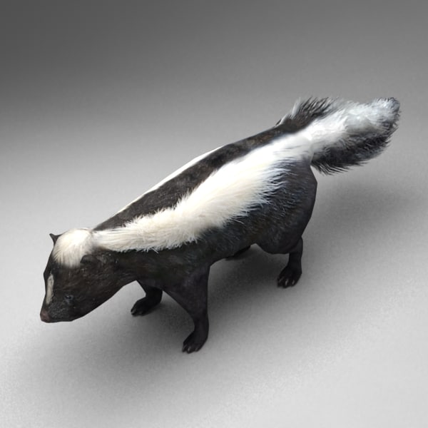 rigged skunk max