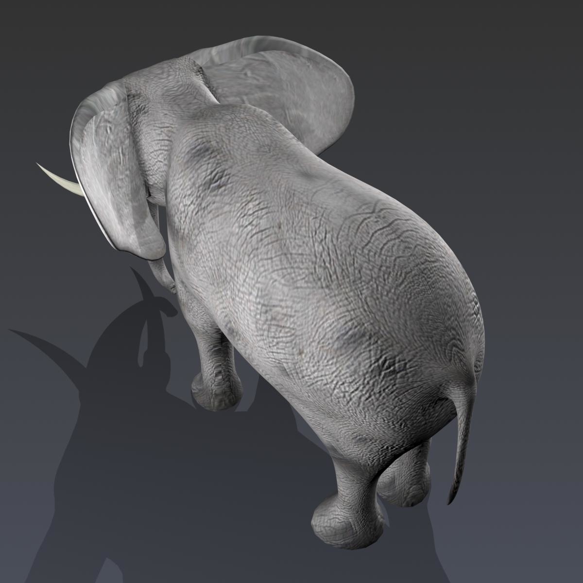 3d model elephant animation